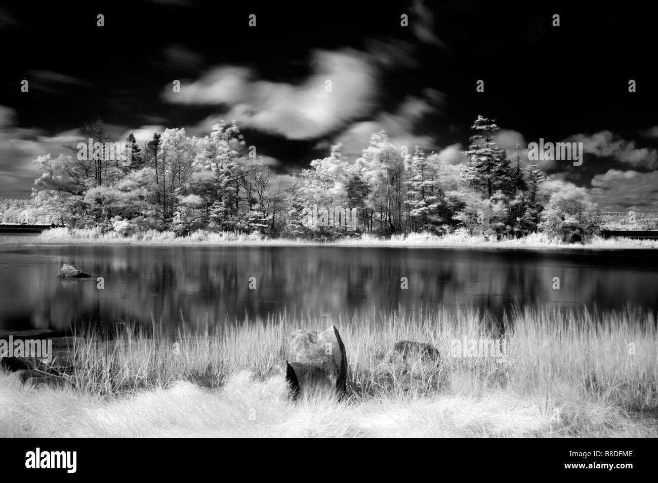 Shoreline Island, Cole Harbour, Nova Scotia Stock Photo - Alamy