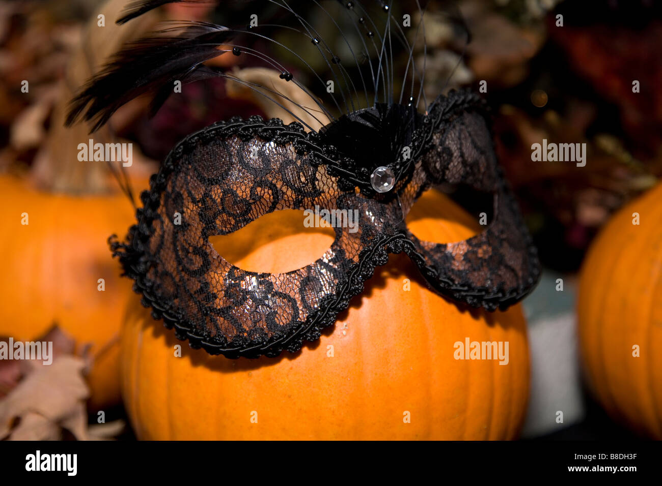 Photo of a lacy mask on a pumpkin Stock Photo - Alamy