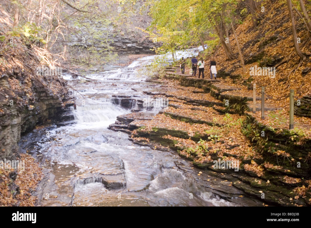 Cascadilla creek gorge waterfall trail, Ithaca, NY, USA Stock Photo - Alamy