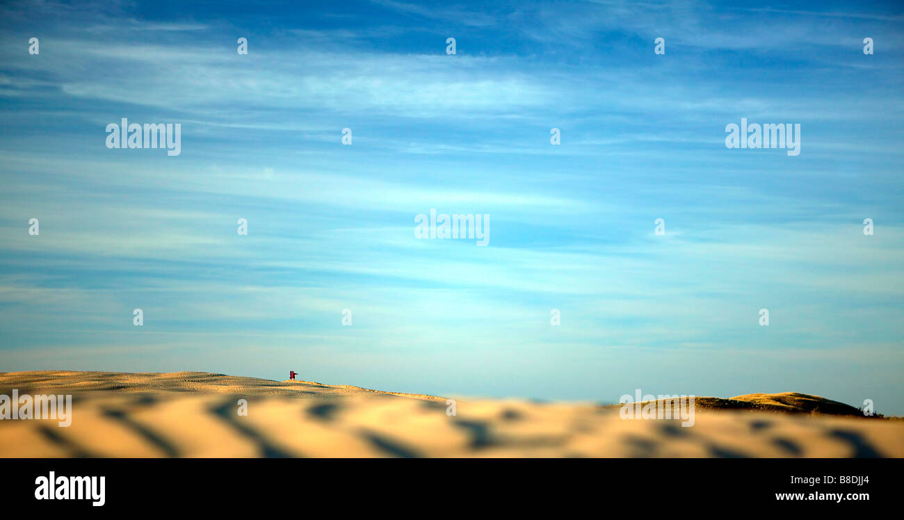 Desert-like conditions in the fragile ecosystem of the Great Sand Hills ...
