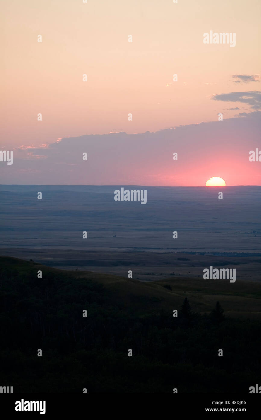 Cypress hills saskatchewan hi-res stock photography and images - Alamy