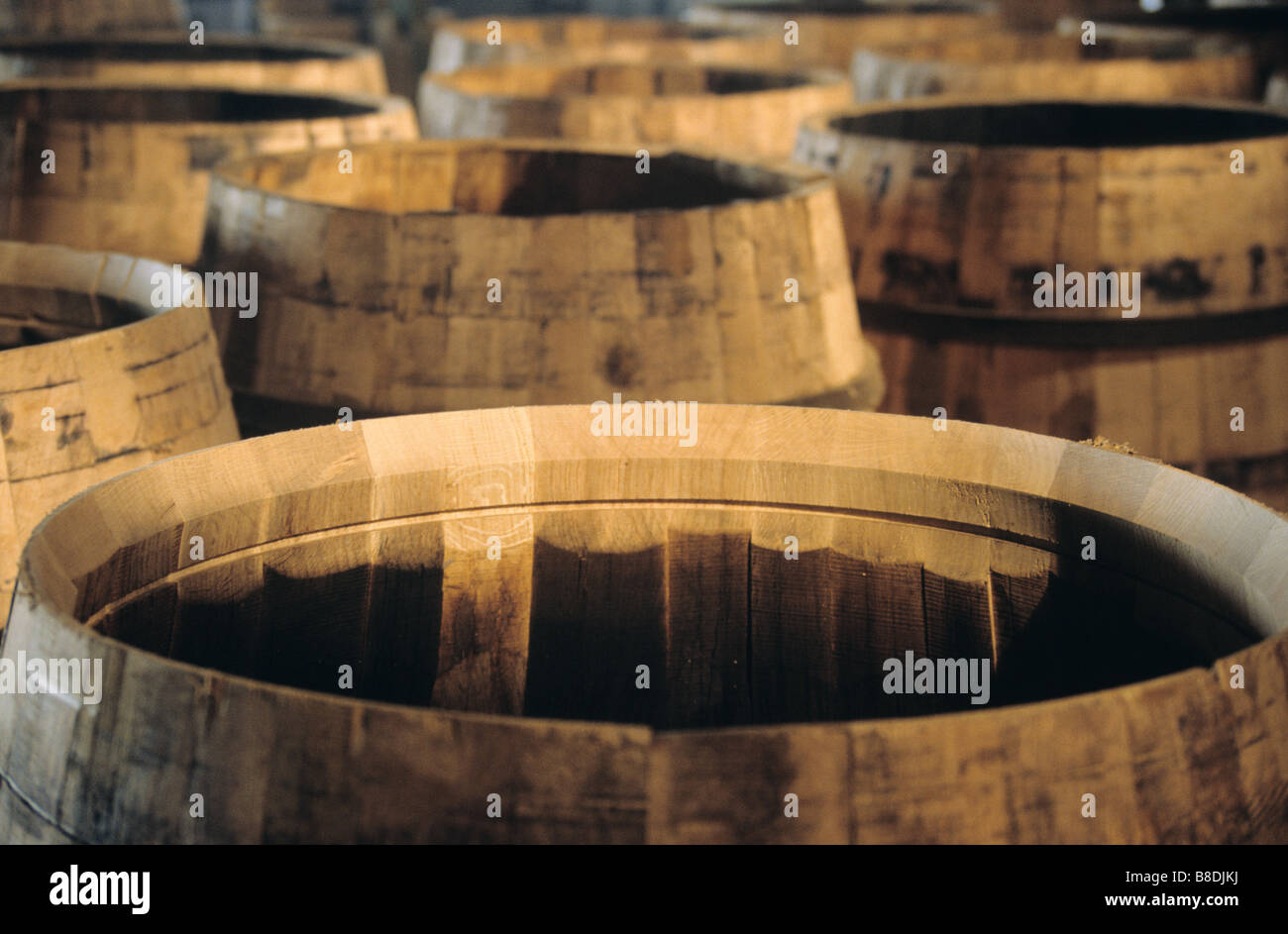 white oak cask assembly in cooperage Stock Photo - Alamy