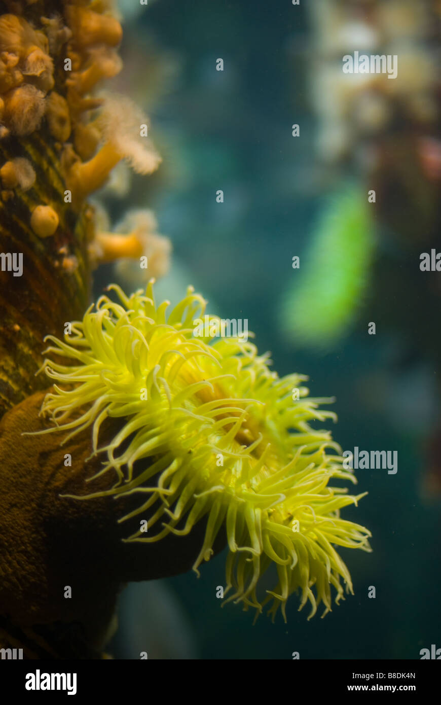 Waving ocean hi-res stock photography and images - Alamy