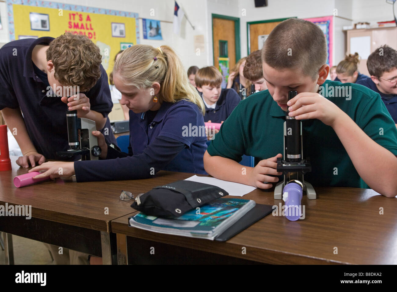 Middle school students in science classroom Stock Photo - Alamy