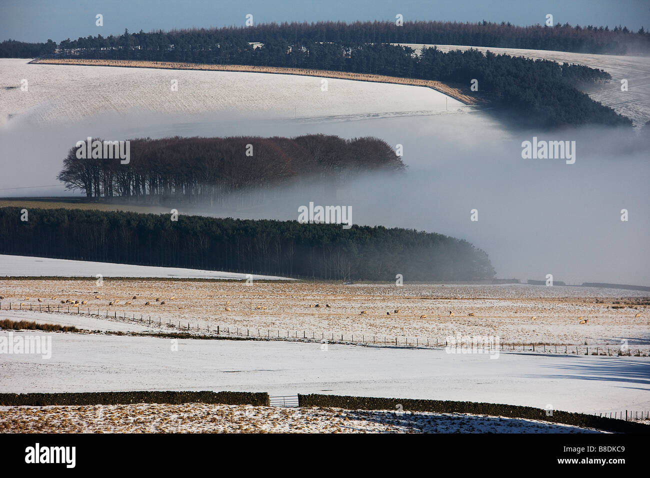 Through the gate.Scottish Borders. Longformacus Stock Photo - Alamy