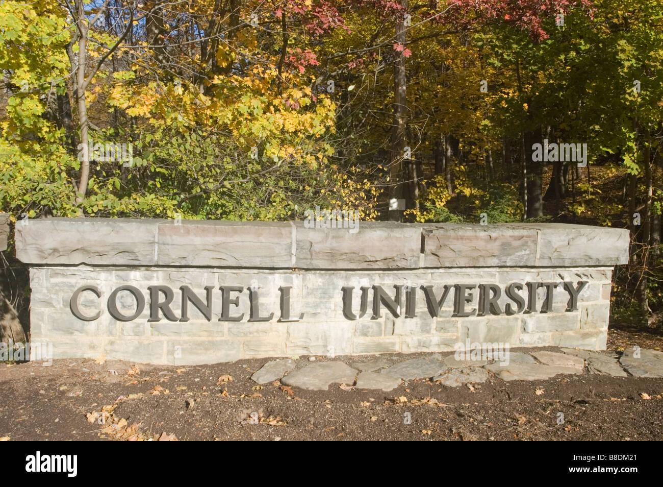 Cornell hi-res stock photography and images - Alamy