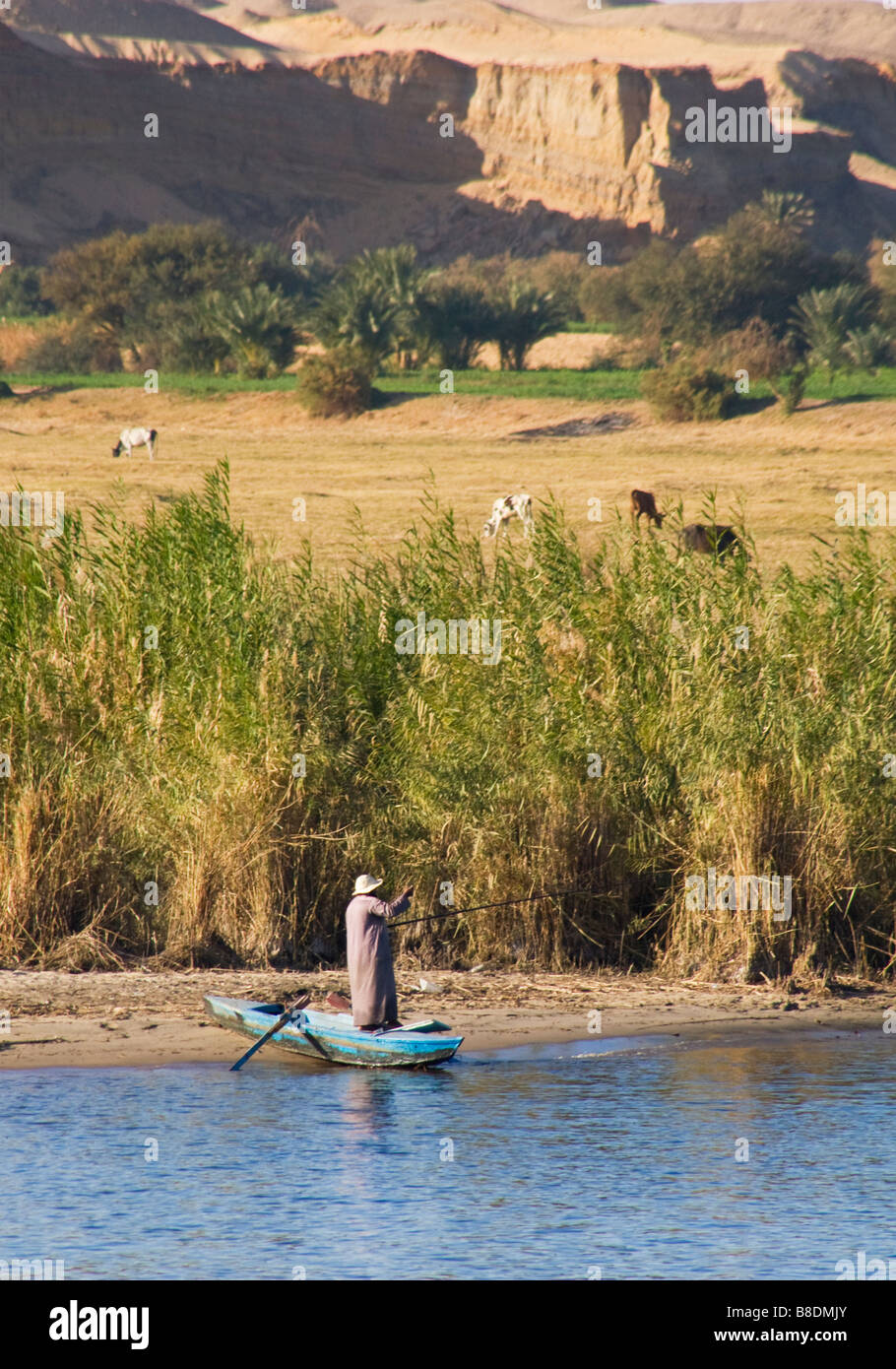 Fisherman catching fish on fishing boat,Nile River,Egypt Stock Photo ...