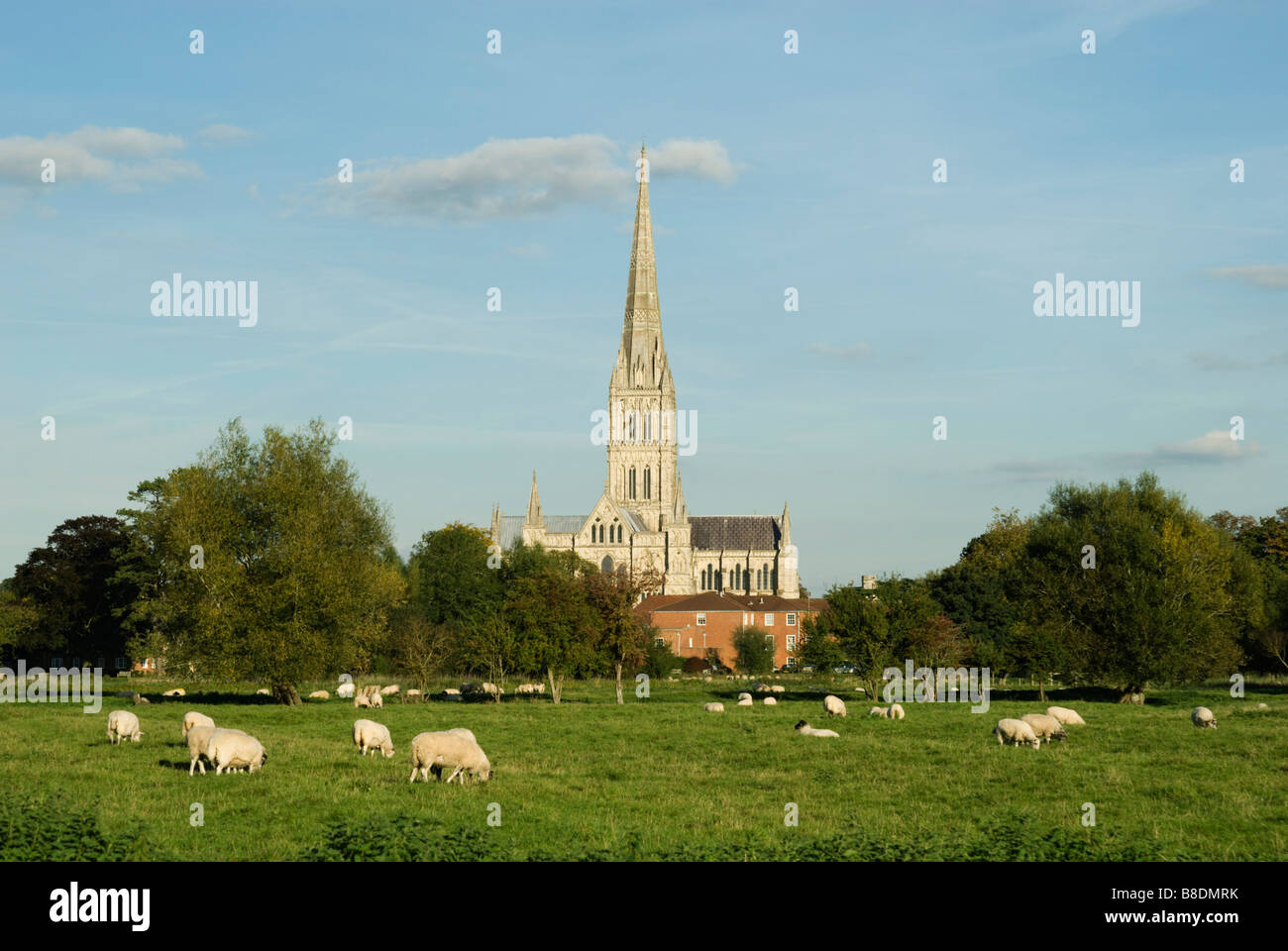 Salisbury Cathedral Wiltshire High Resolution Stock Photography and ...