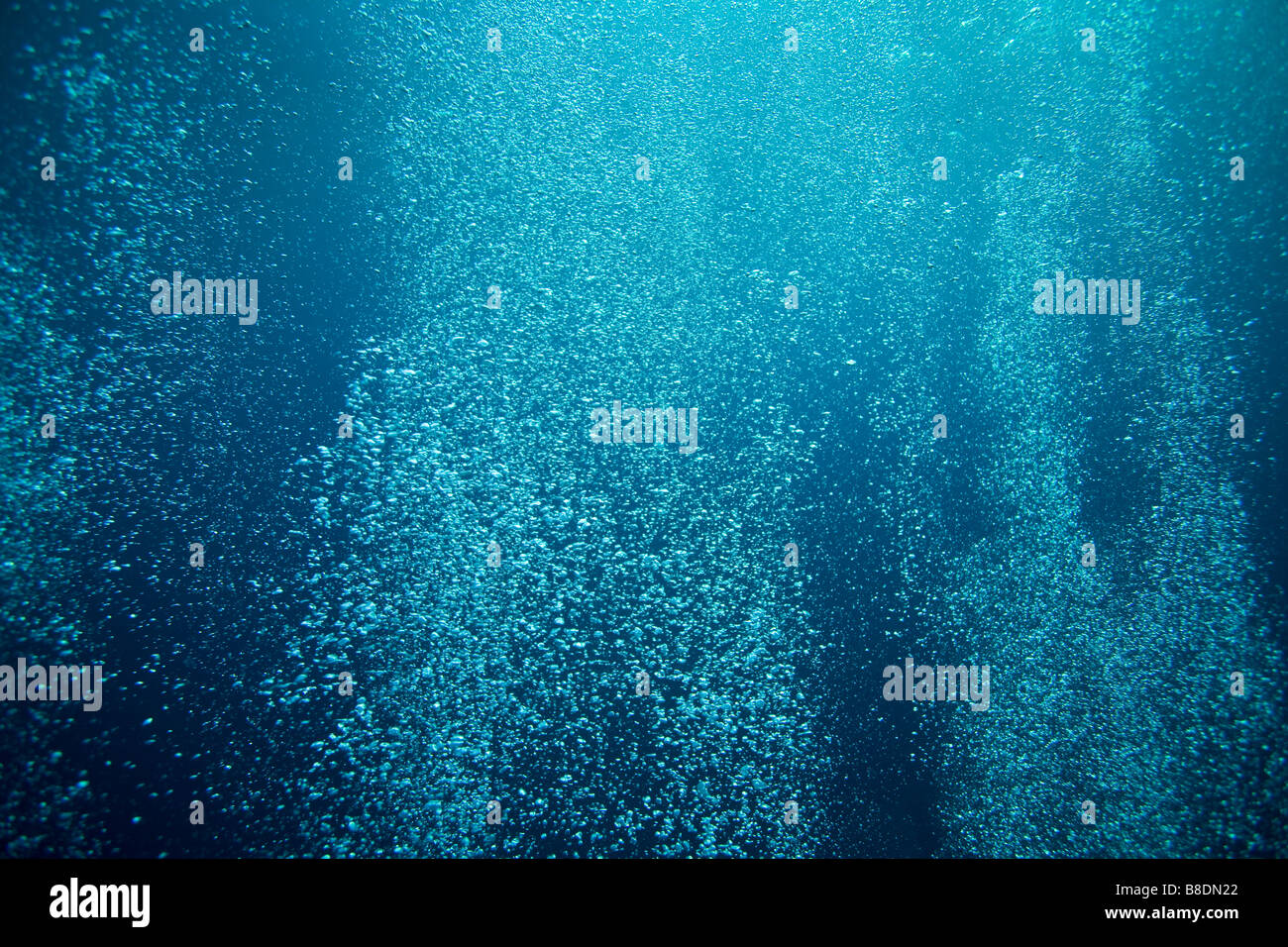 Bubbles from scuba diving Stock Photo - Alamy