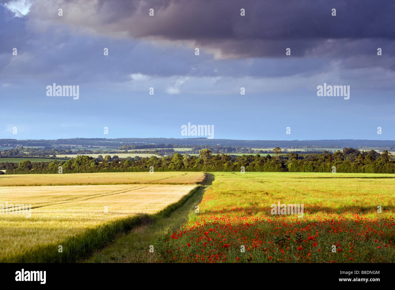 Wonston hampshire hi-res stock photography and images - Alamy
