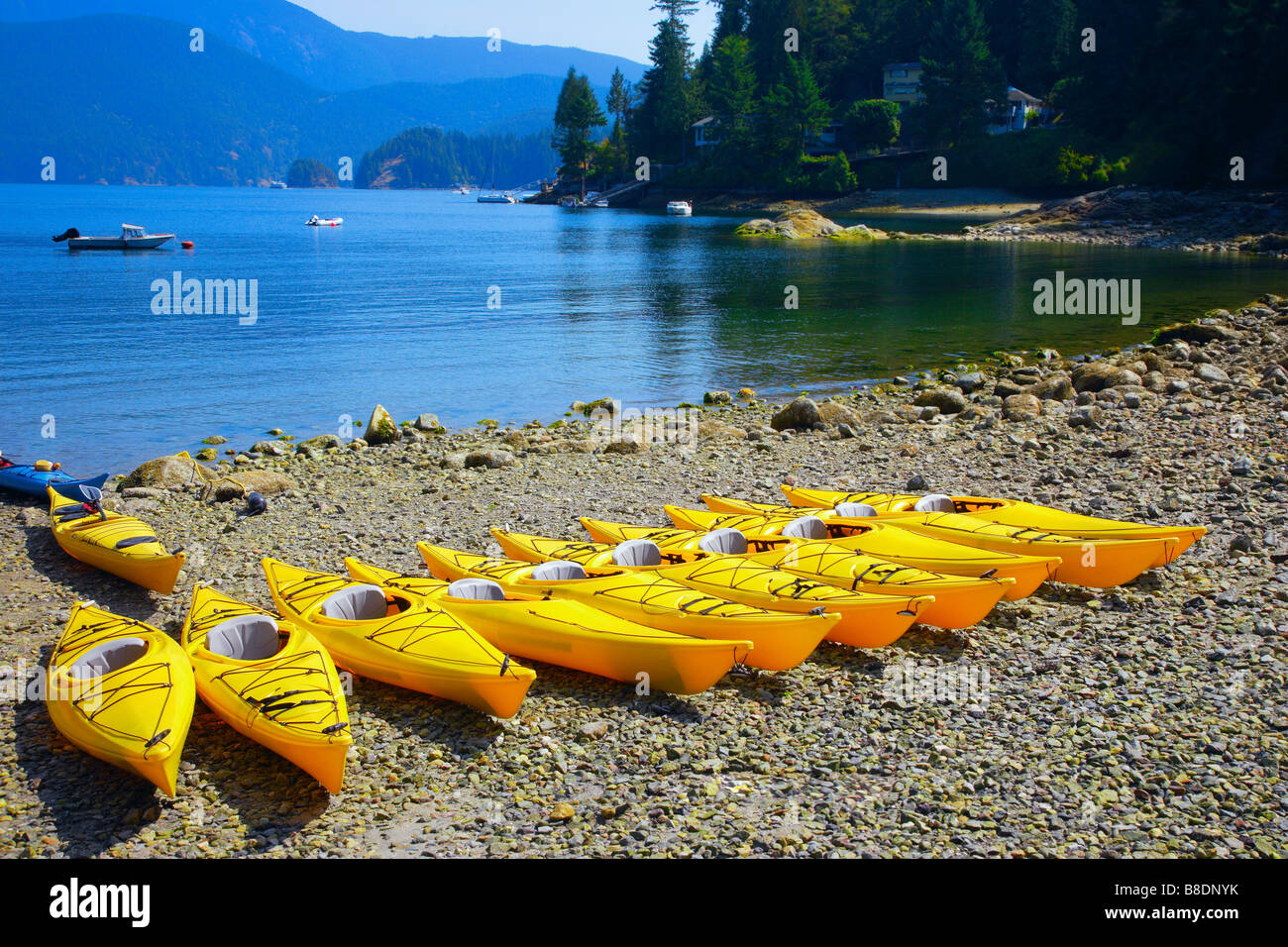 Row of yellow canoes on the beach Stock Photo - Alamy