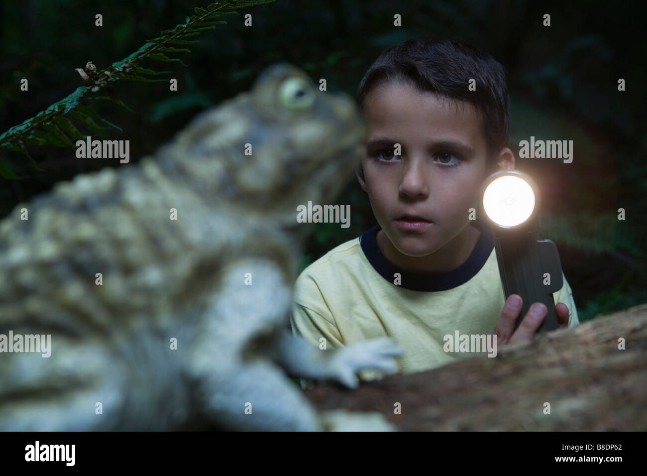 Boy with torch and toad Stock Photo - Alamy