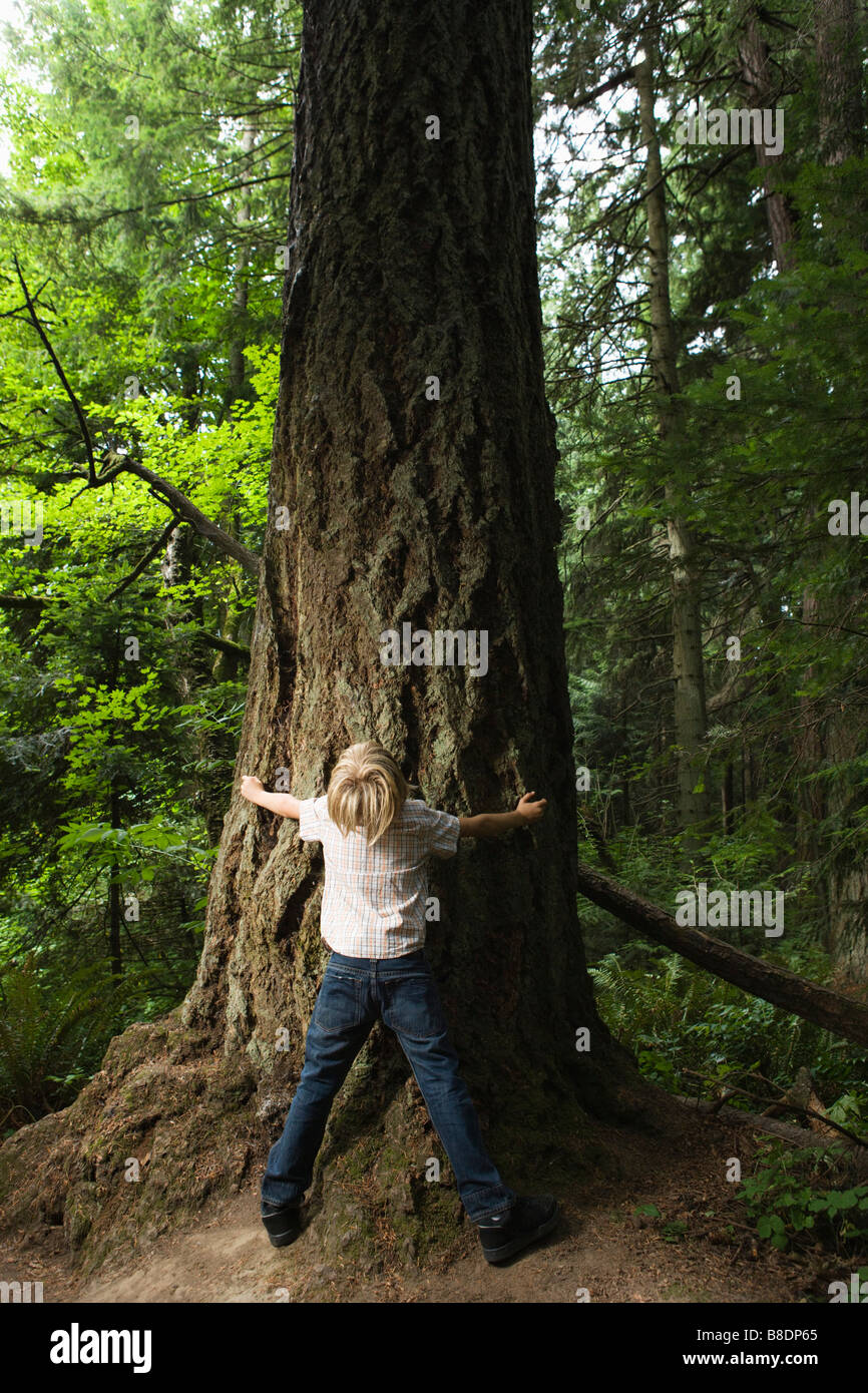 Boy looking up at tree Stock Photo - Alamy