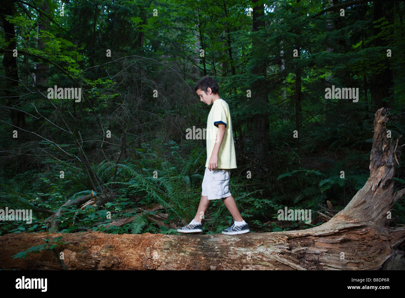 Boy walking on log hi-res stock photography and images - Alamy