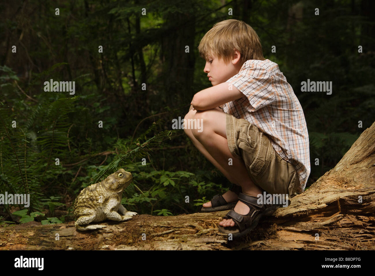 Boy looking at toad Stock Photo - Alamy