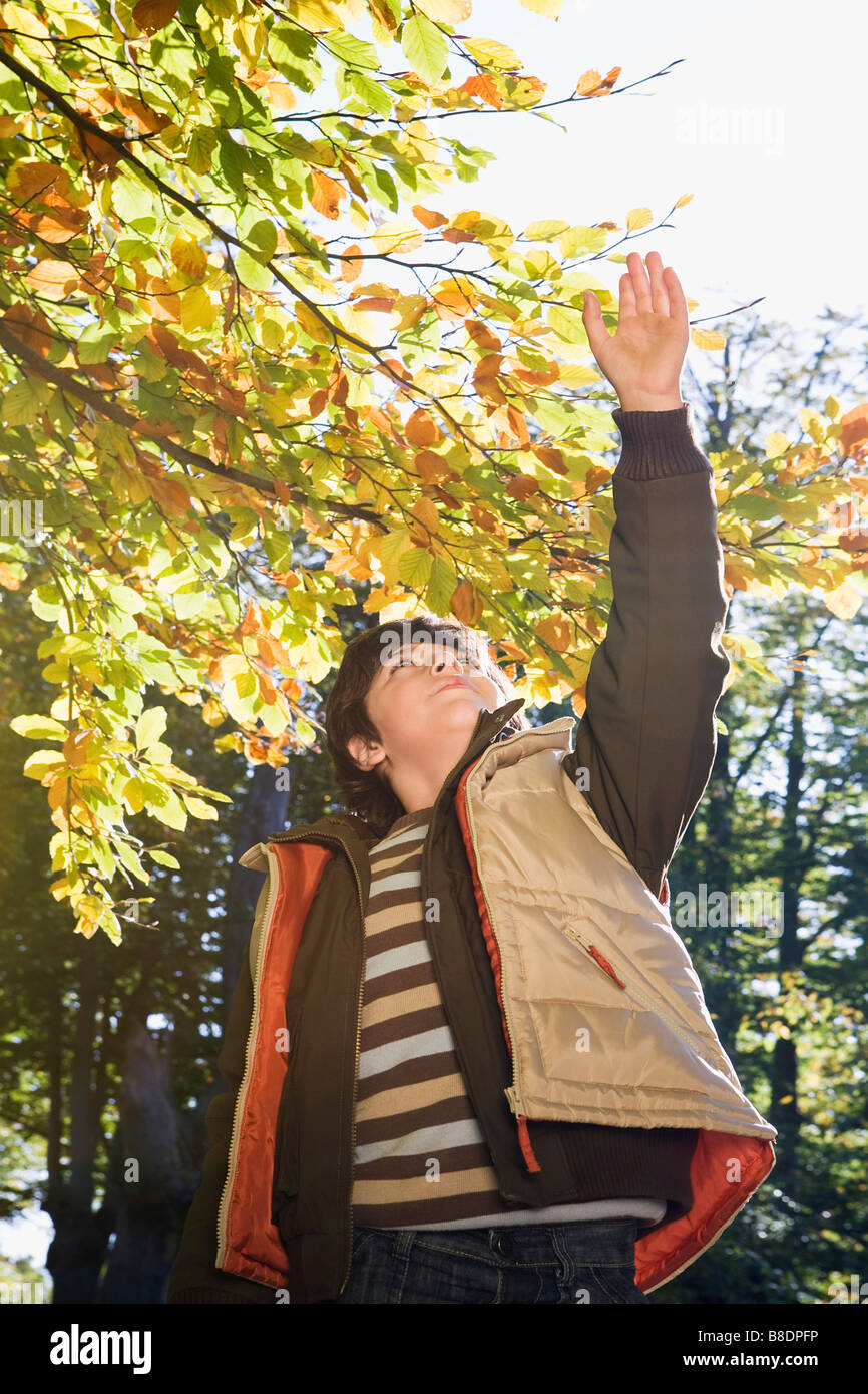 Boy looking up at tree Stock Photo - Alamy