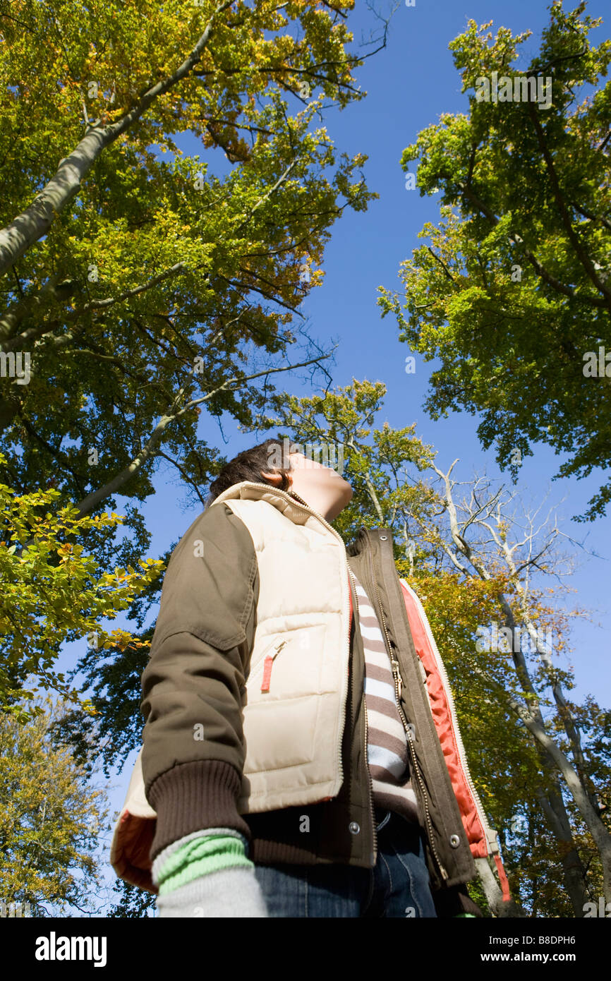 Looking up at tree hi-res stock photography and images - Alamy