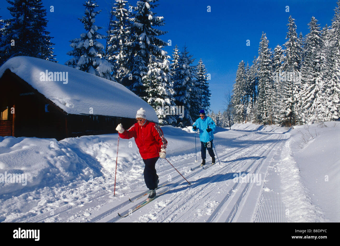 Cross Country Skiing in a Winter Wonderland Stock Photo - Alamy