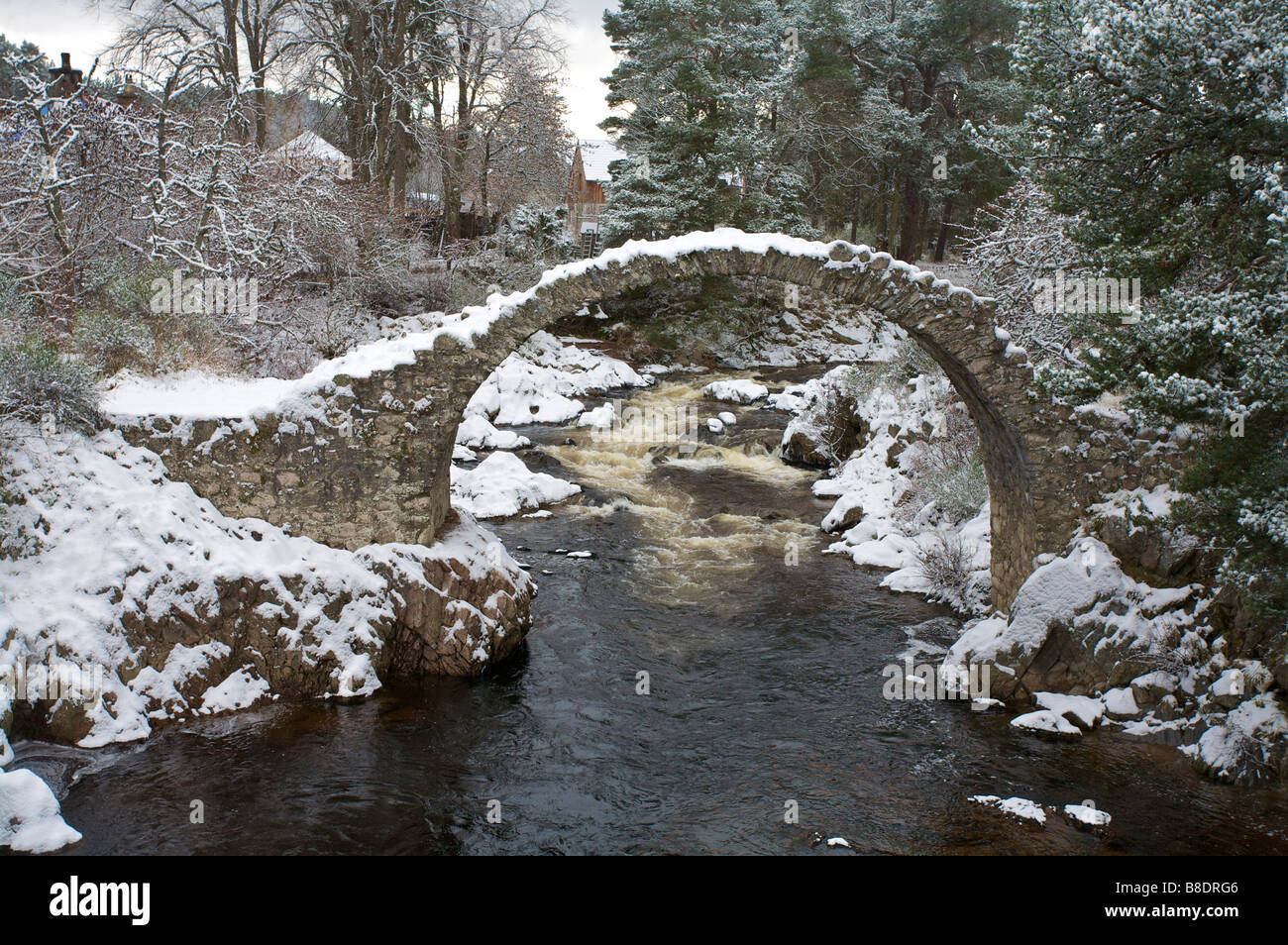 Carrbridge scotland hi-res stock photography and images - Alamy