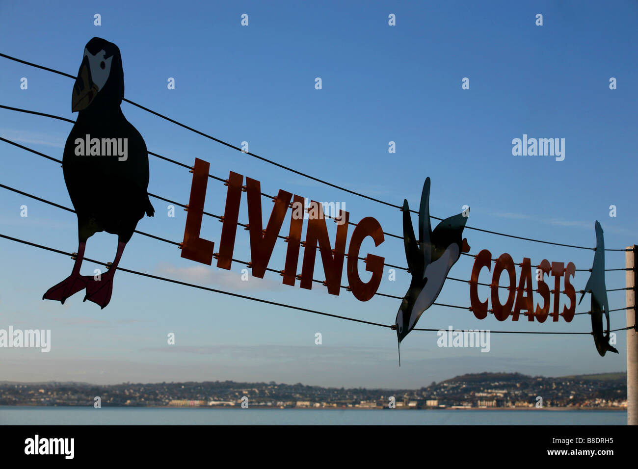Living Coasts, Torquay Harbour, Devon, UK Stock Photo - Alamy