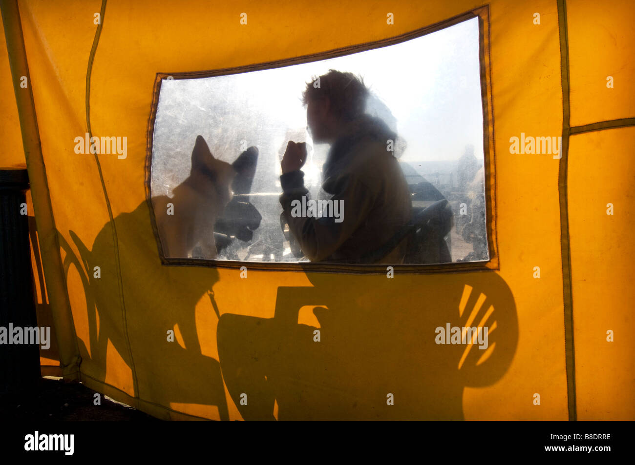 A man and his dog behind a windscreen at a cafe on Brighton Beach, UK ...