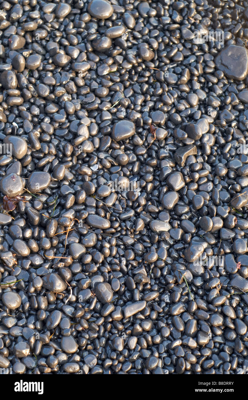 Seashore rocks hi-res stock photography and images - Alamy