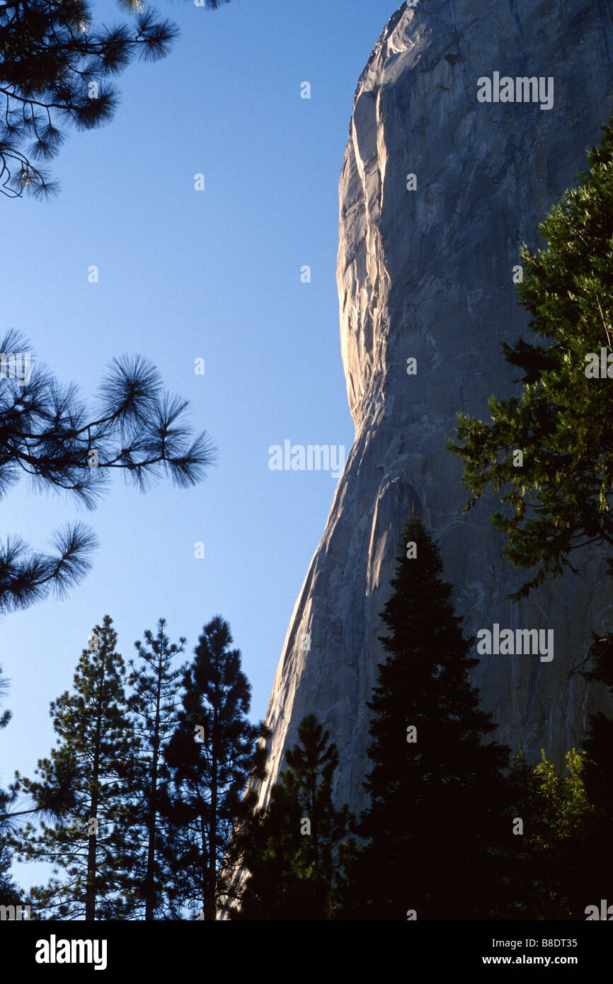 El Capitan rock, Yosemite National Park, California Stock Photo - Alamy