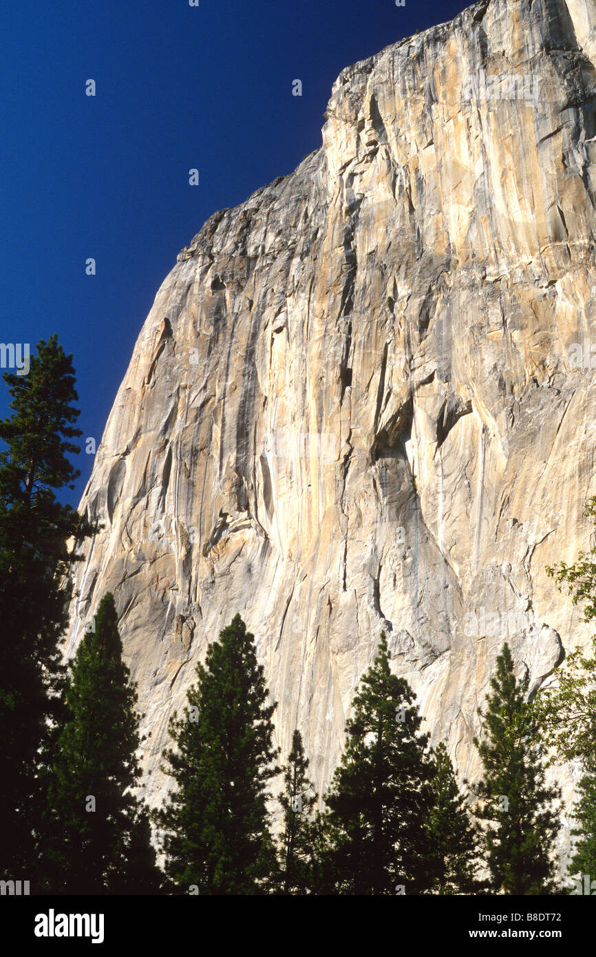 El Capitan rock, Yosemite National Park, California Stock Photo - Alamy