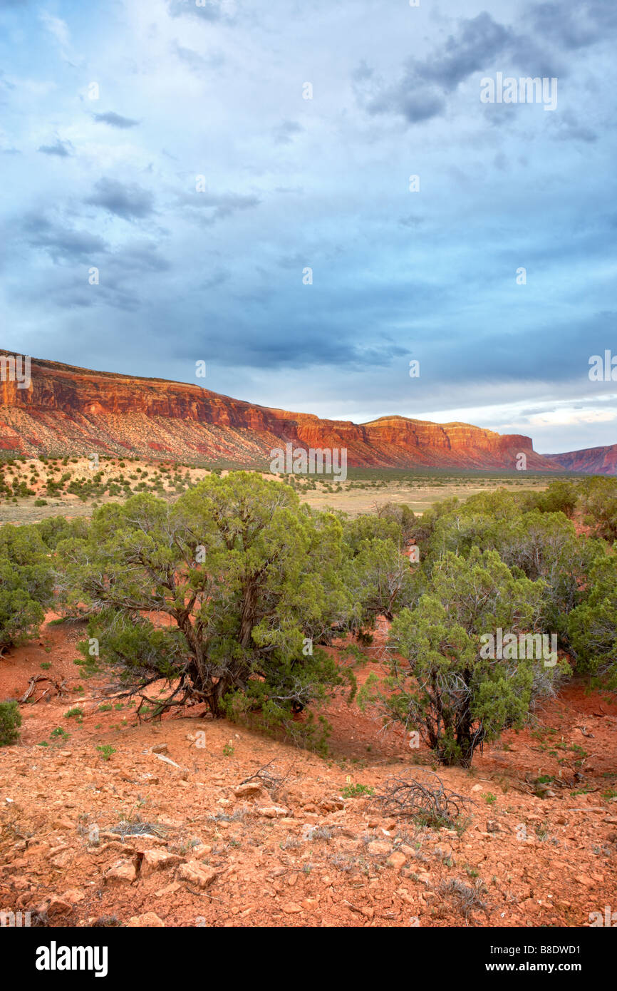 Paradox hi-res stock photography and images - Alamy