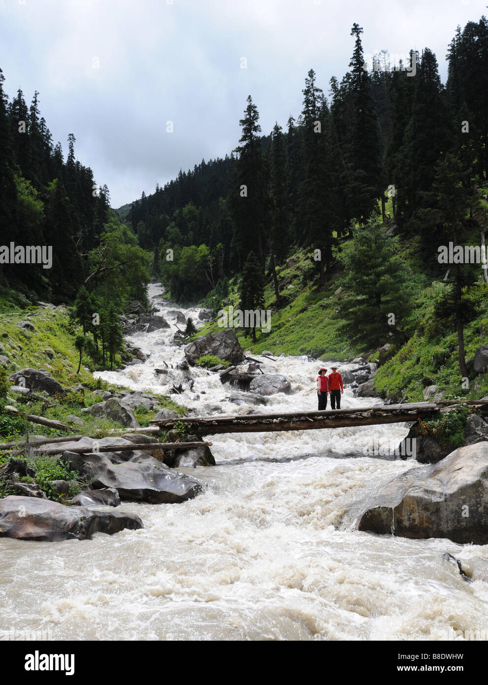 Two people crossing a log bridge on the Parbati river Northern India ...