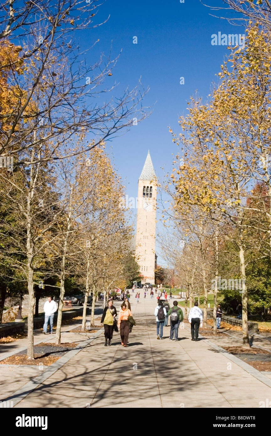 Cornell University McGraw Tower, Ithaca, NY, USA Stock Photo - Alamy