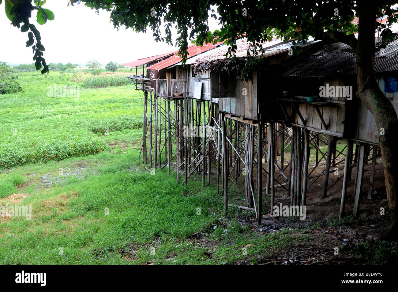 A stilt house in Iquitos, Peru Stock Photo - Alamy