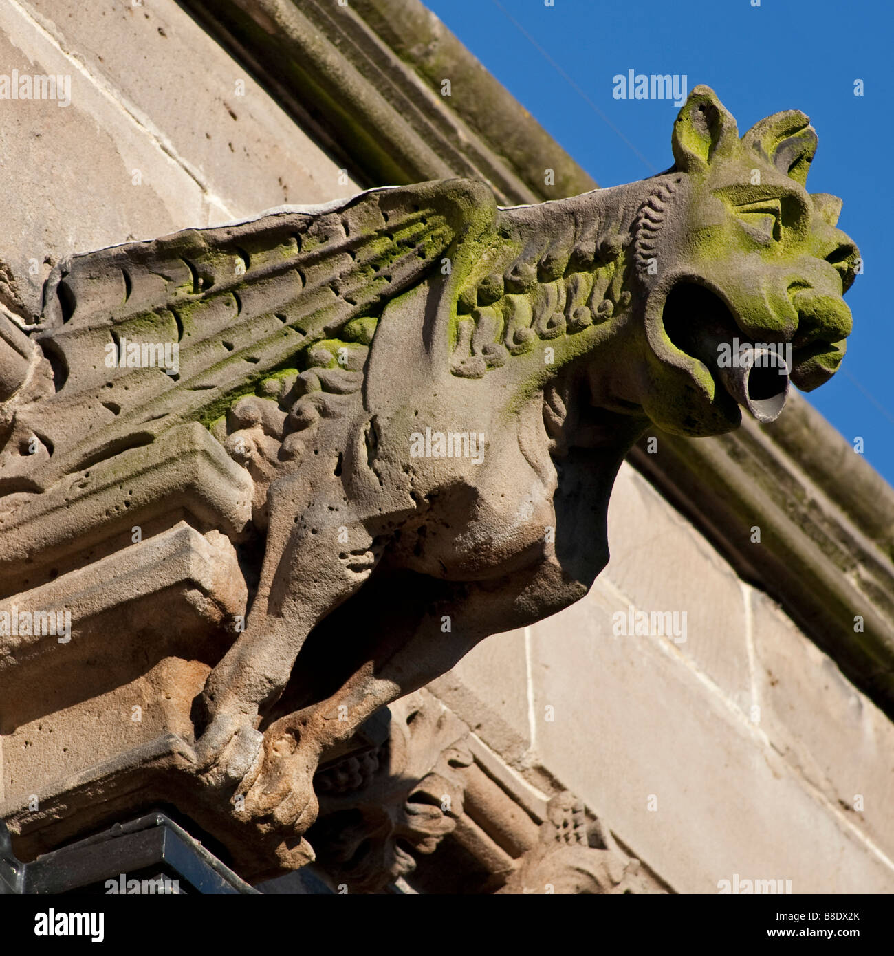 Gargoyle on the side of St Martin's Church Birmingham City Centre Stock ...