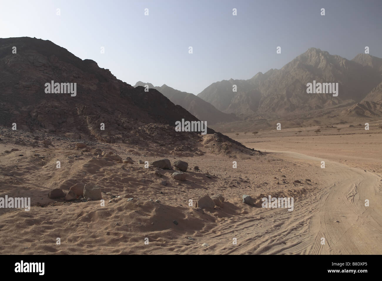 Early morning in a desert Stock Photo - Alamy