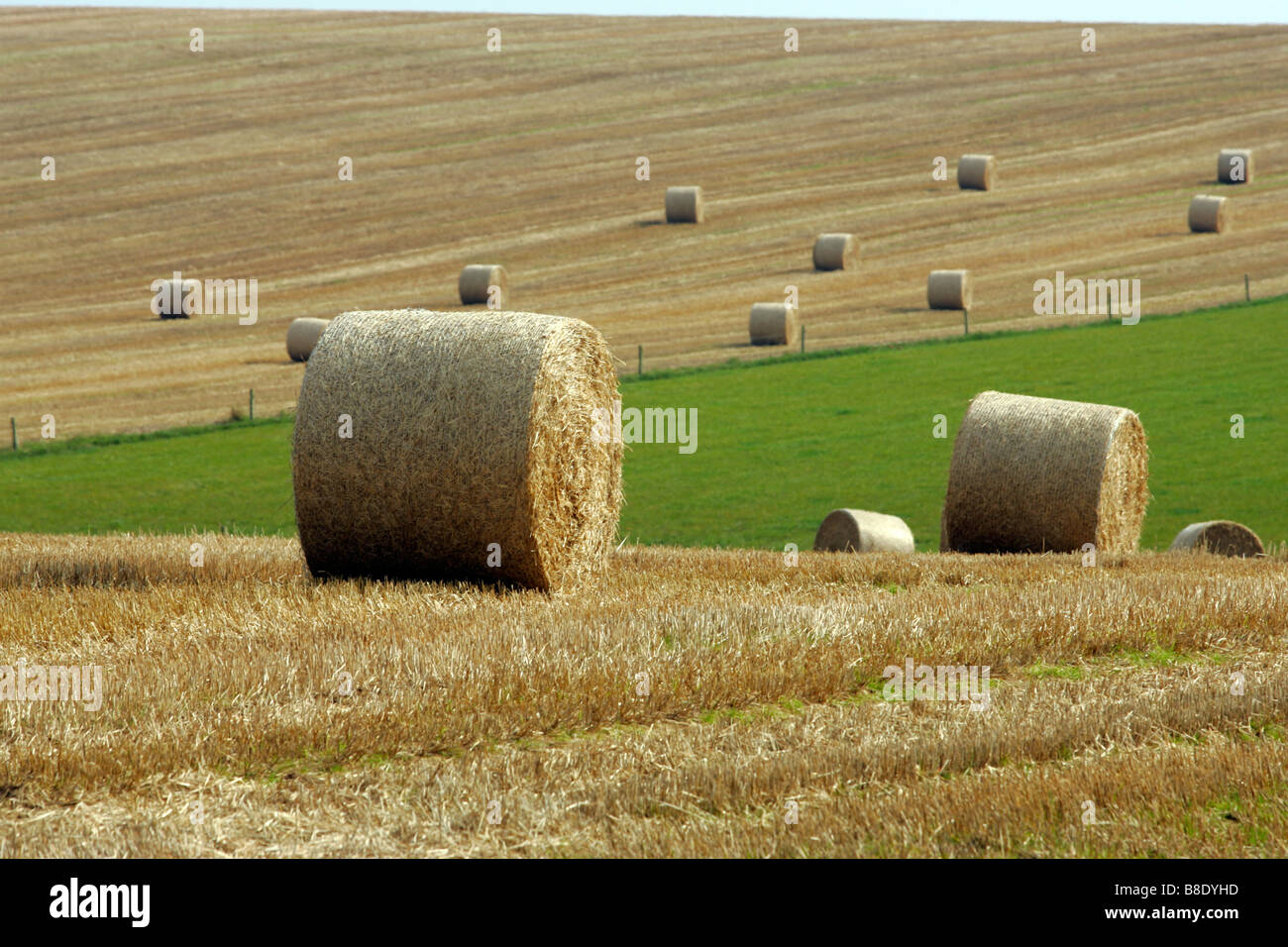 Ireland Cork hay harvest in field near Kinsale Stock Photo - Alamy