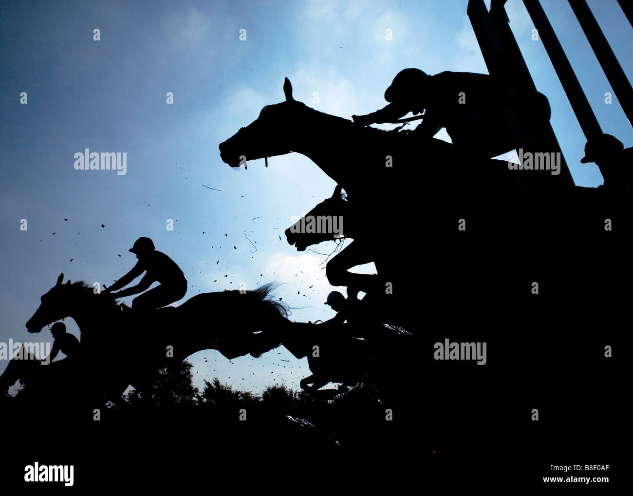 Race Horse Silhouette