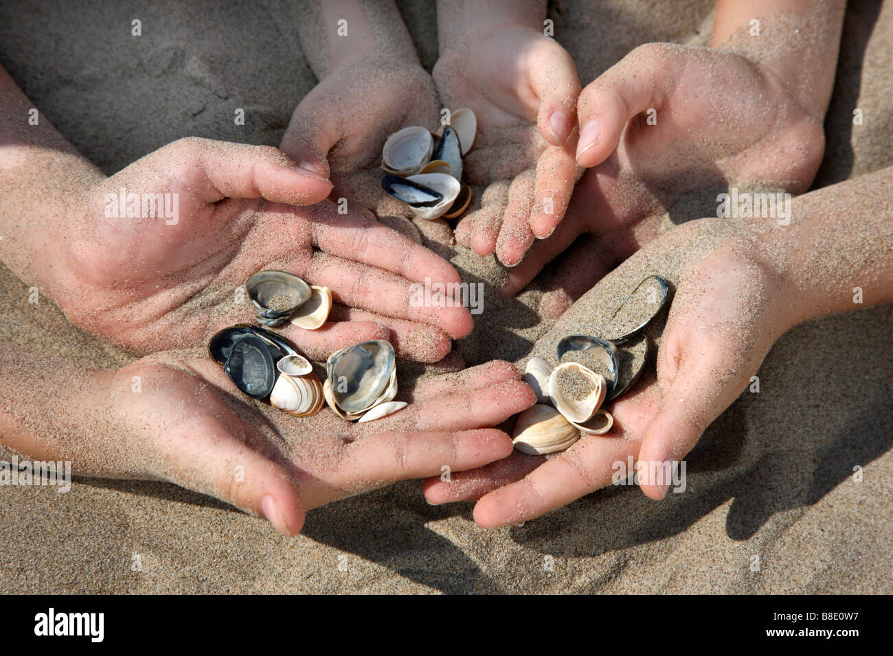 Kids hands with shells hi-res stock photography and images - Alamy