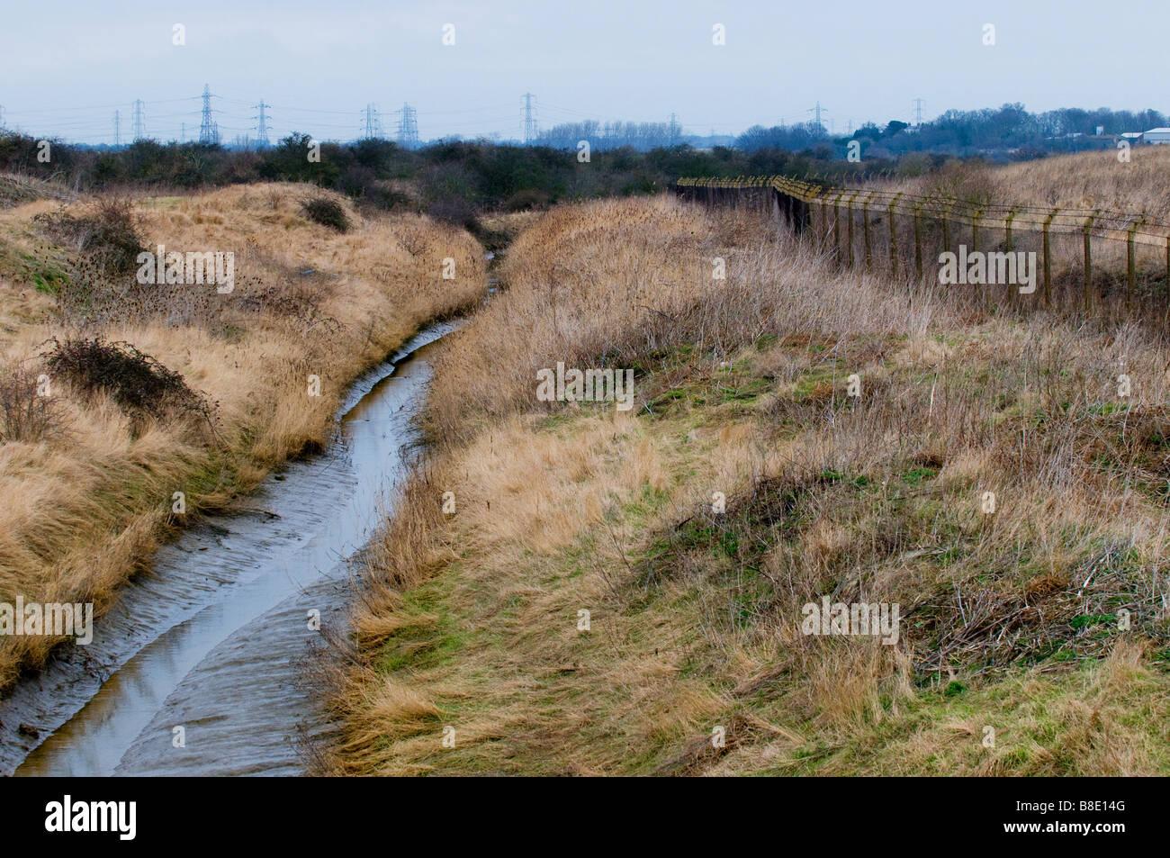 A muddy stream in Essex Stock Photo - Alamy