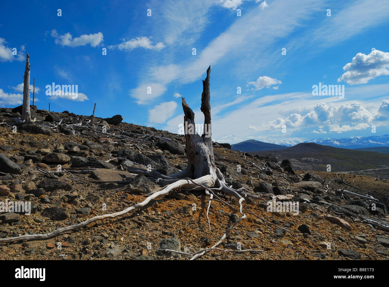 Mountains, stone, stumps Stock Photo - Alamy