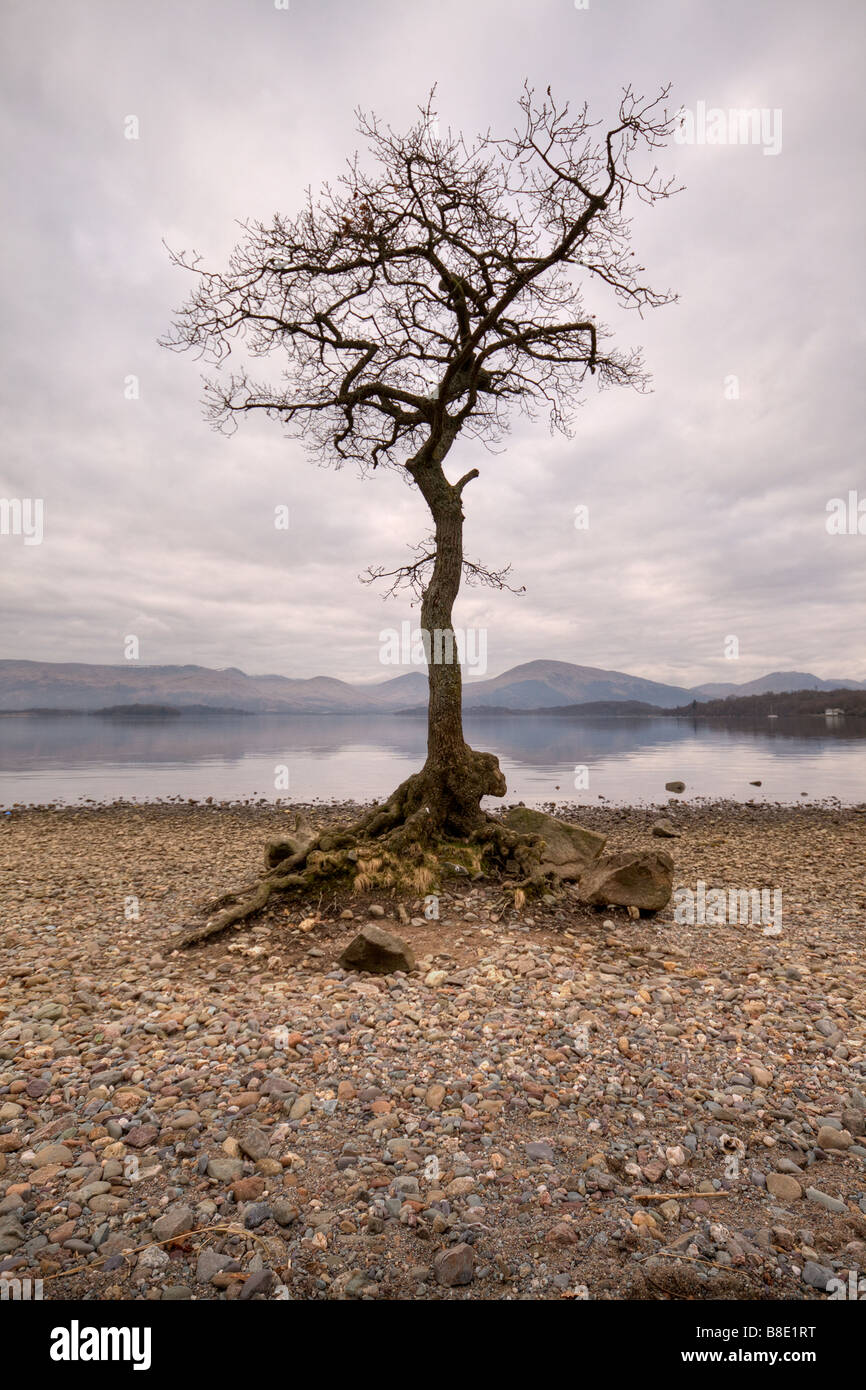 Lone one hi-res stock photography and images - Alamy