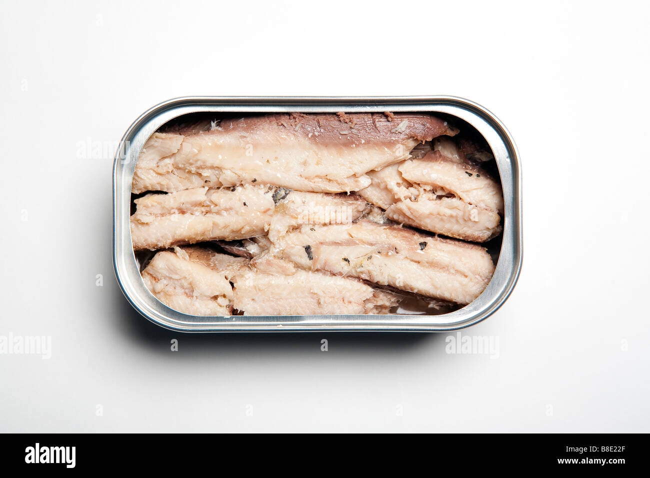 Sardine Can Key