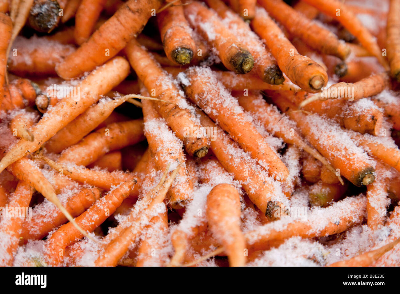 Winter vegetable market hi-res stock photography and images - Alamy