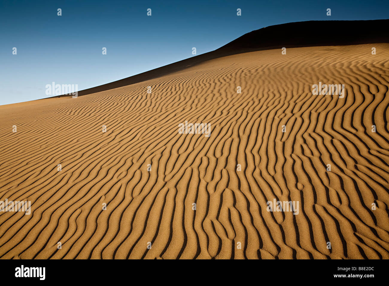 Wind ripples hi-res stock photography and images - Alamy