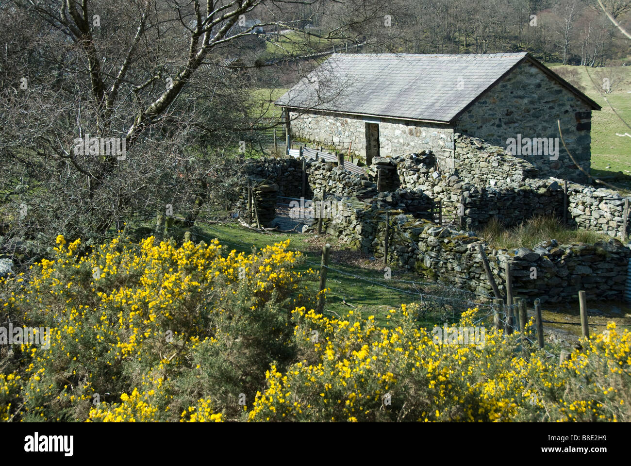 Farm house in North Wales Stock Photo - Alamy