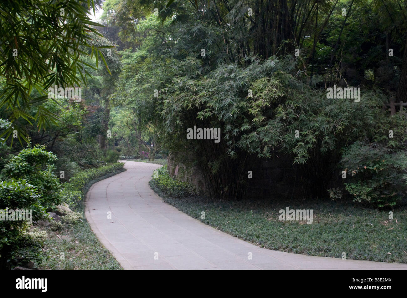 stone garden path leading through woods Stock Photo - Alamy