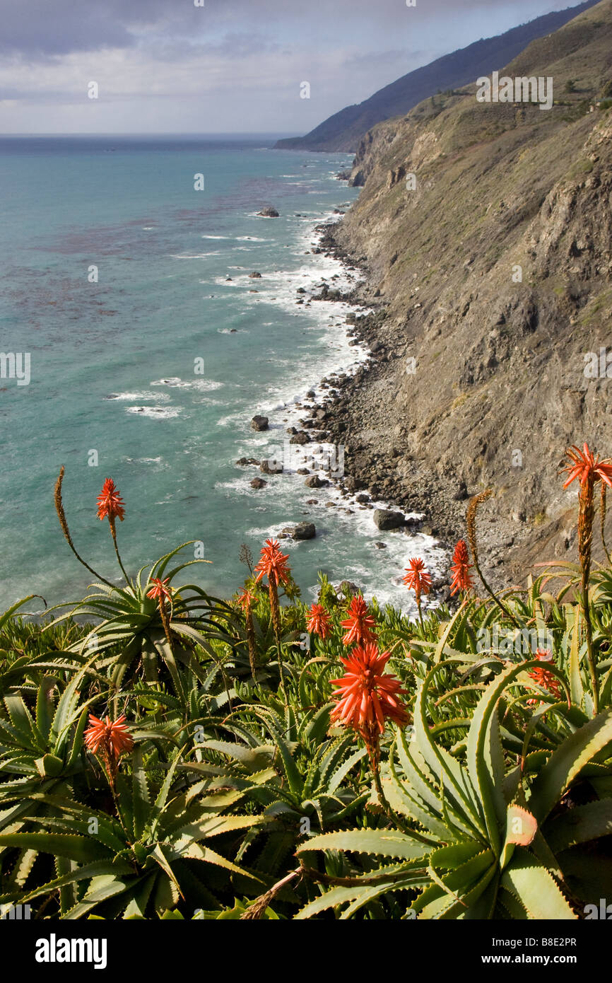 Ragged point hi-res stock photography and images - Alamy