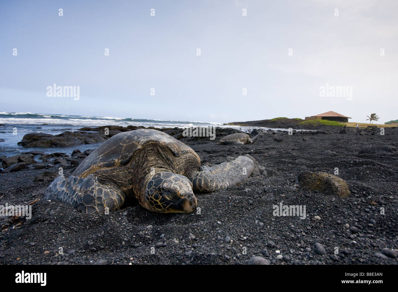 Sands beach hi hi-res stock photography and images - Alamy