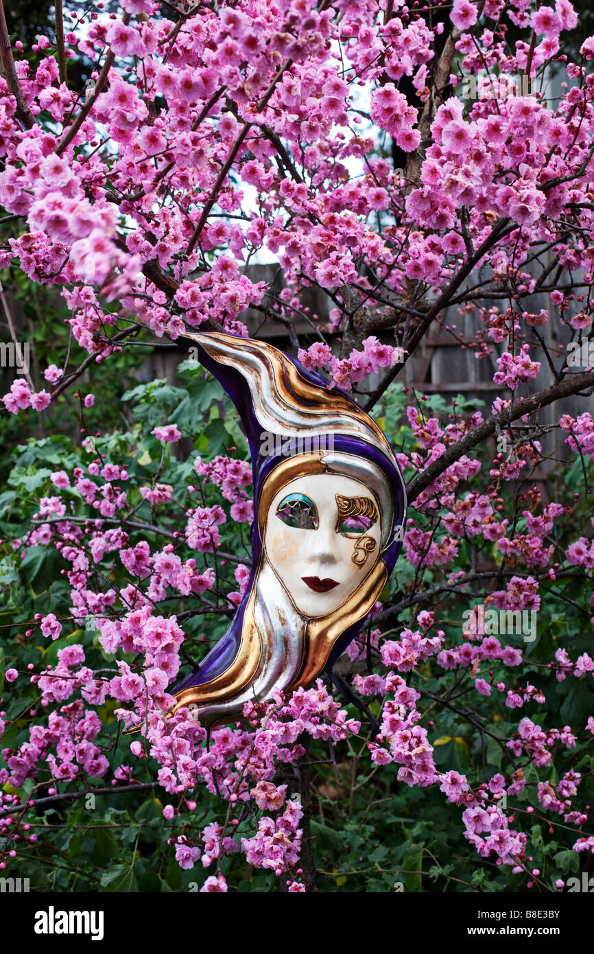 Maskarade design hi-res stock photography and images - Alamy