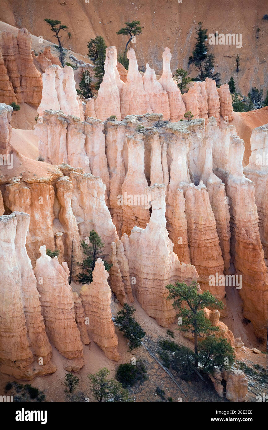 View of Bryce Amphitheater from the Rim Trail in Bryce Canyon National ...