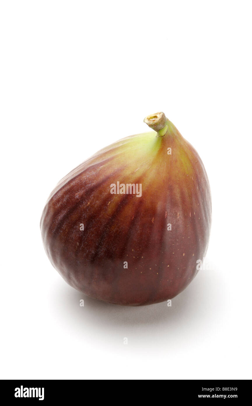 Close up of a fig Stock Photo - Alamy